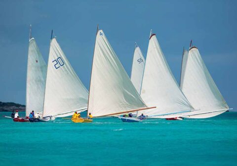 Tidelines - Tide Calendars | World Famous Tide Calendars